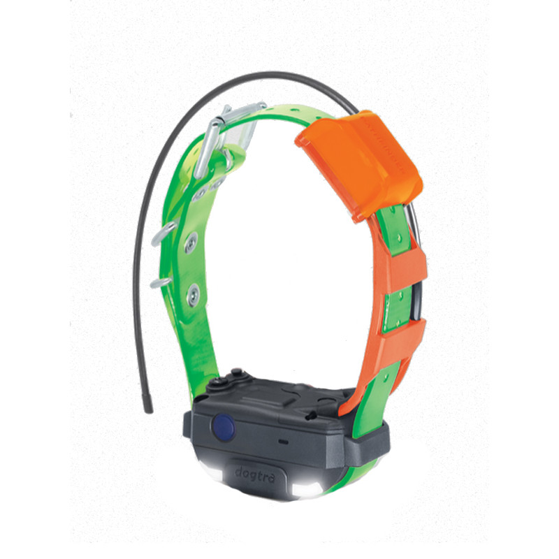 Collier supplémentaire Pathfinder 2 Mini TRX Dogtra