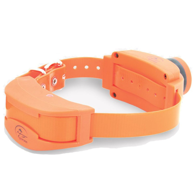 SportDOG - Dressage et repérage pour chien