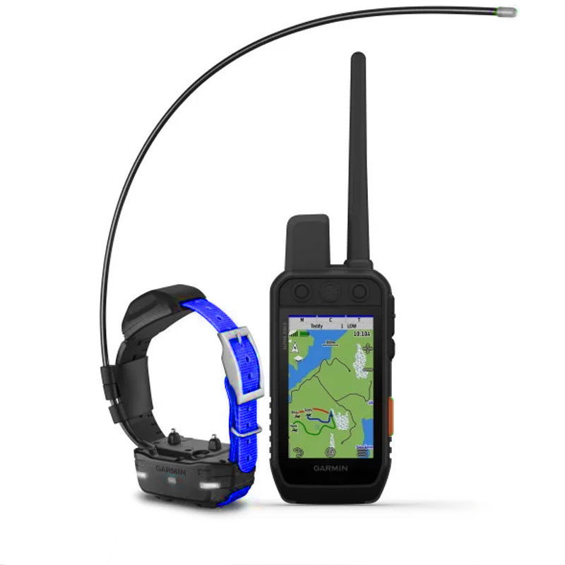 Colliers de repérage pour chiens